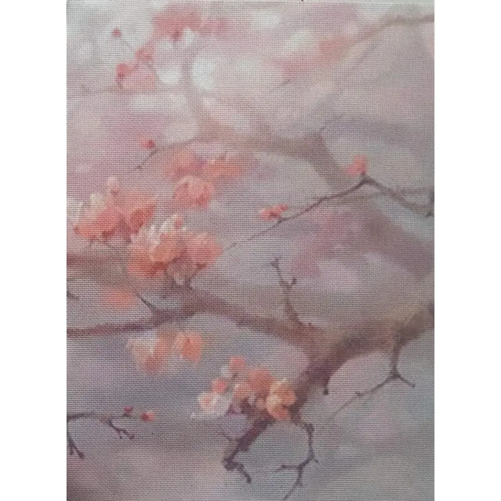 КФ-1100 Канва Zweigart з фоновим малюнком Aida 16. Alisena| golka.com ...